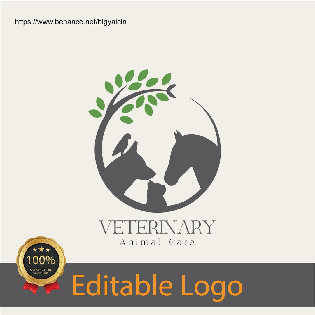 Professional Veterinary Logo Design - Pet Care Clinic Brand Identity ...