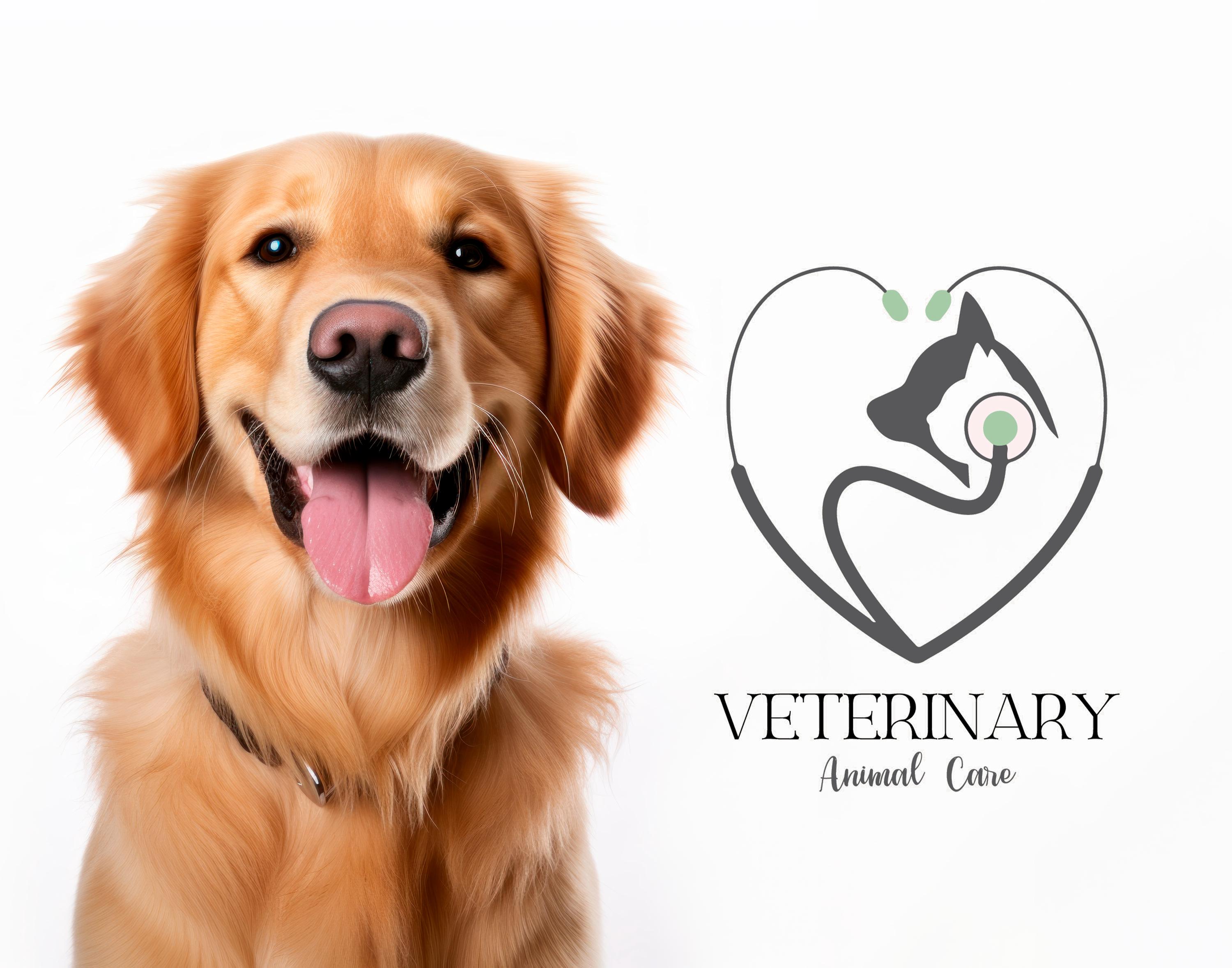 Custom Vet Logo Design - Pet Clinic Branding Service / Veterinary ...