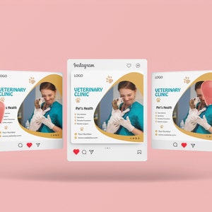 Veterinary Flyer / Pet Care Flyer Design / Animal Care Social Media ...