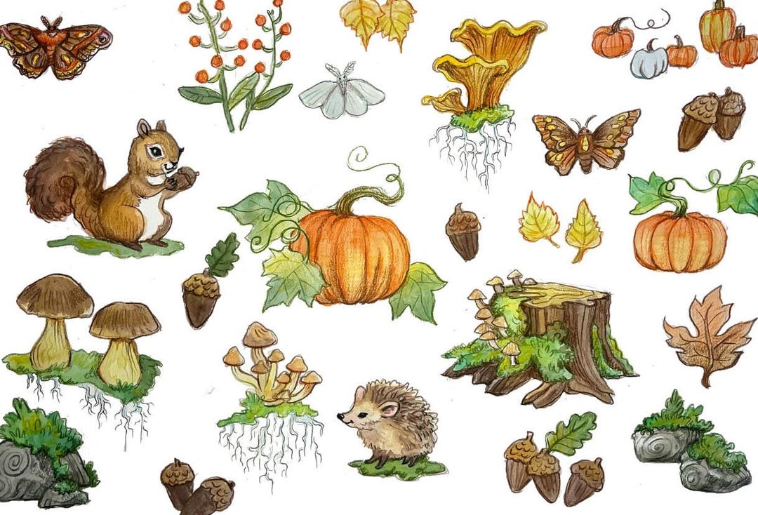Woodland Fall Clipart Images - Autumn Nature Inspired Art PNG Files ...