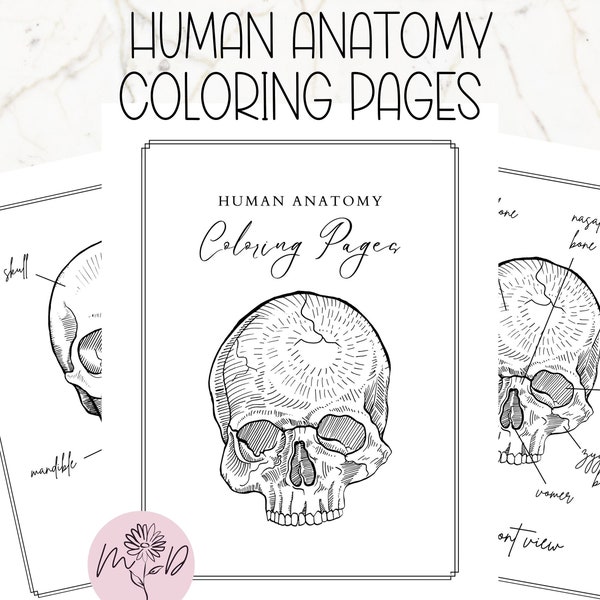 Nursing Coloring Sheet - Etsy