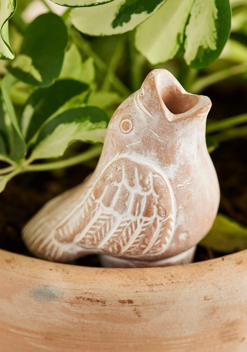 Bird Watering Spike, Terracotta Plant Water Spikes, Automatic Watering ...
