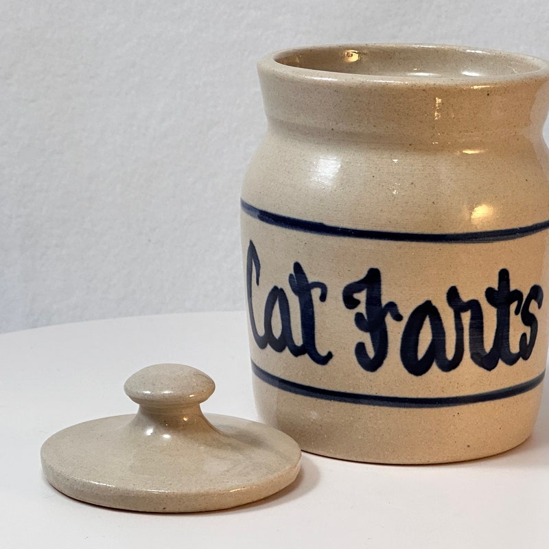 Farts in a Jar - Etsy