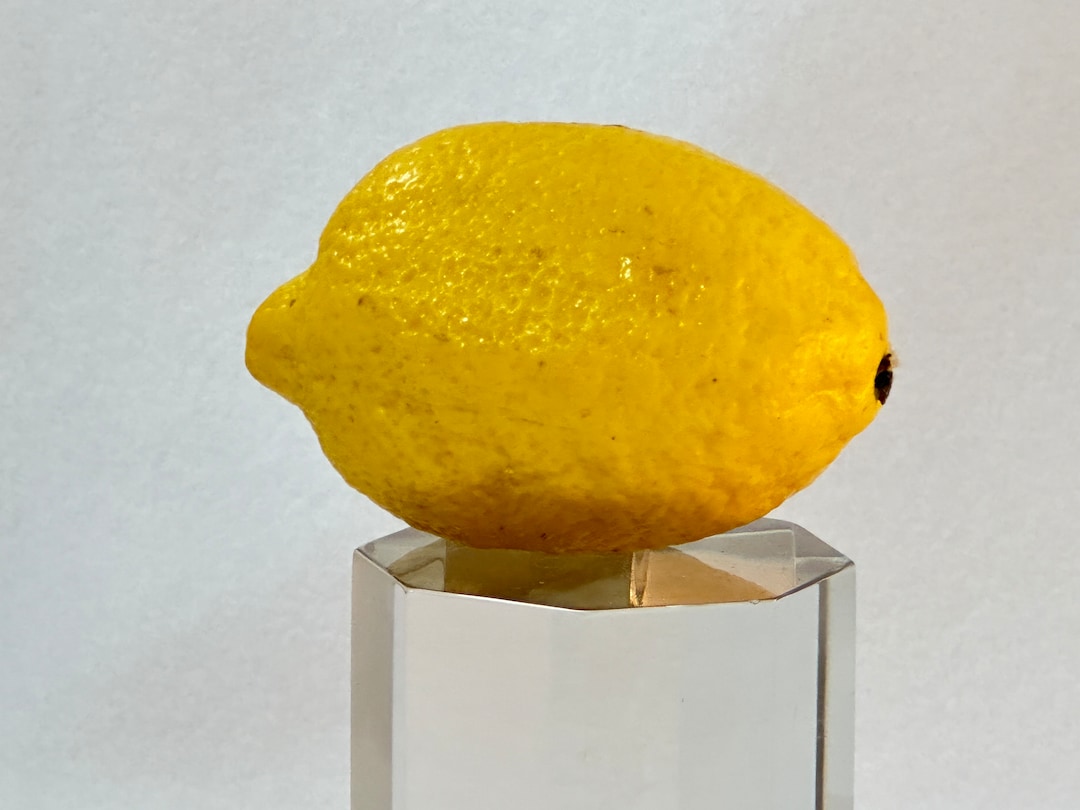 Vintage Hyper-realistic Lemon Faux Fruit Food Styling Prop - Etsy