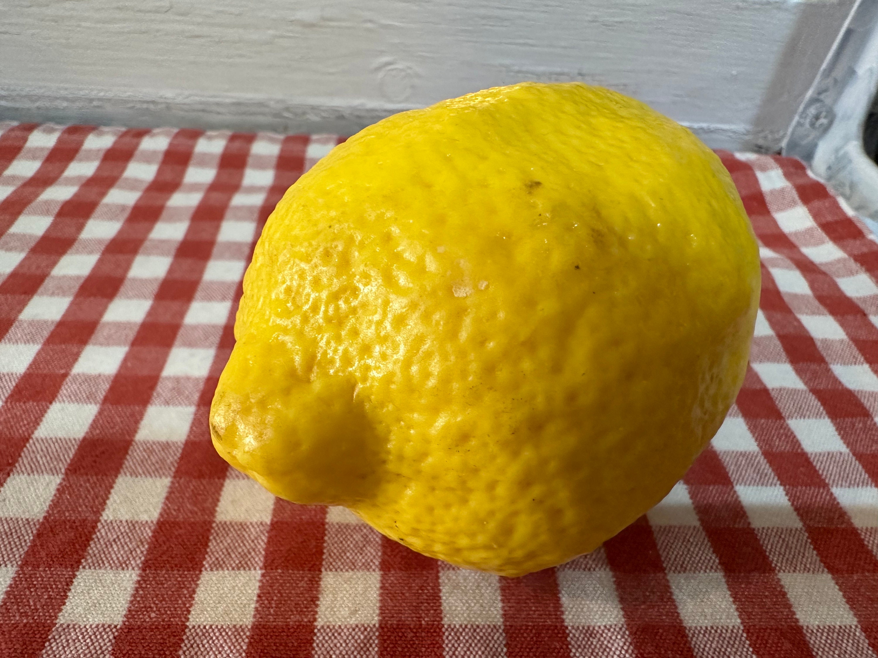 Vintage Hyper-realistic Lemon Faux Fruit Food Styling Prop - Etsy