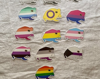 LGBT Pride Flag Frog Stickers, for Laptop, Water Bottles, Pride Flag ...