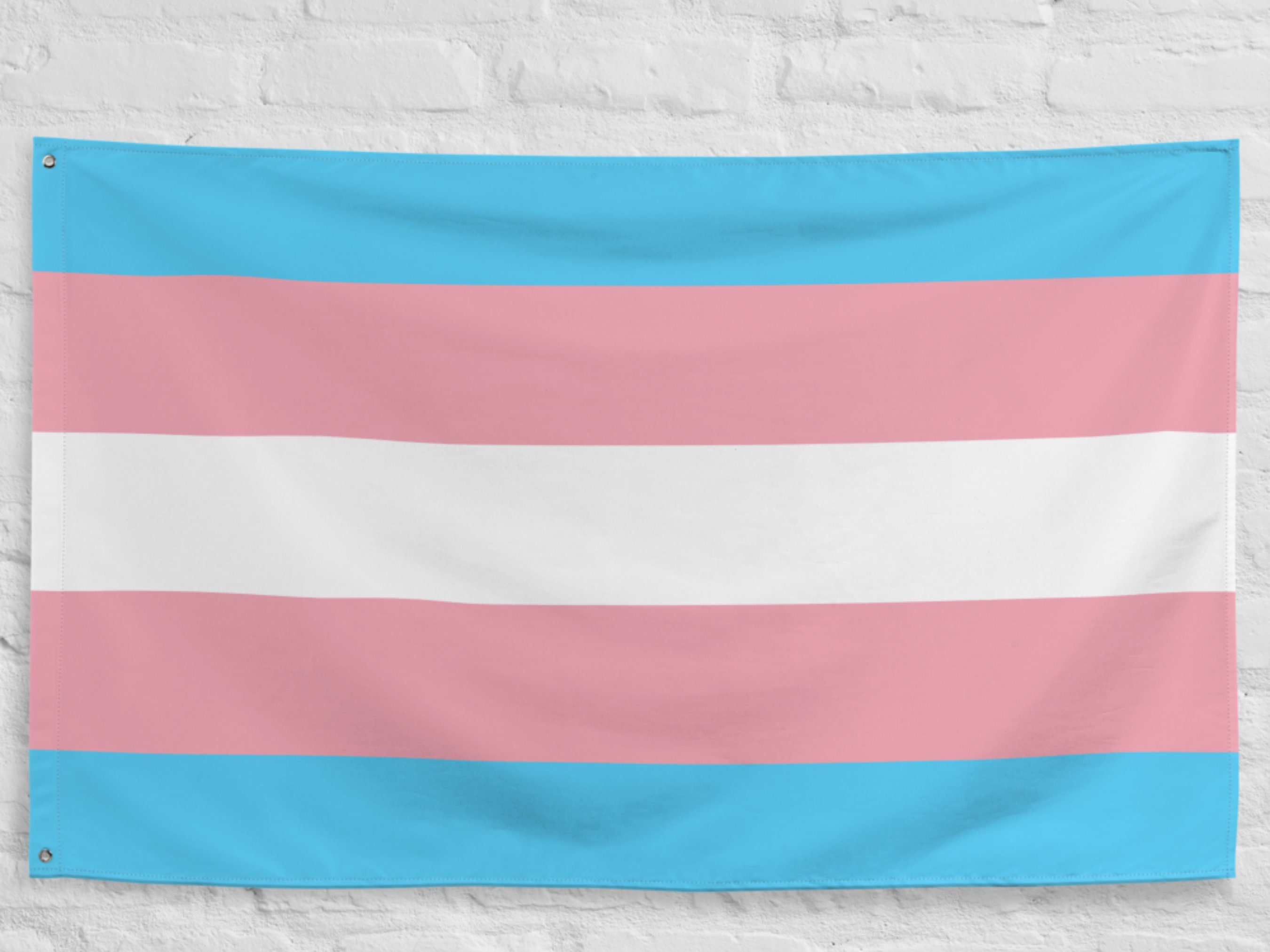 Trans Flag Transgender Flag Pride Flag Trans Pride Flag Pride Pride ...