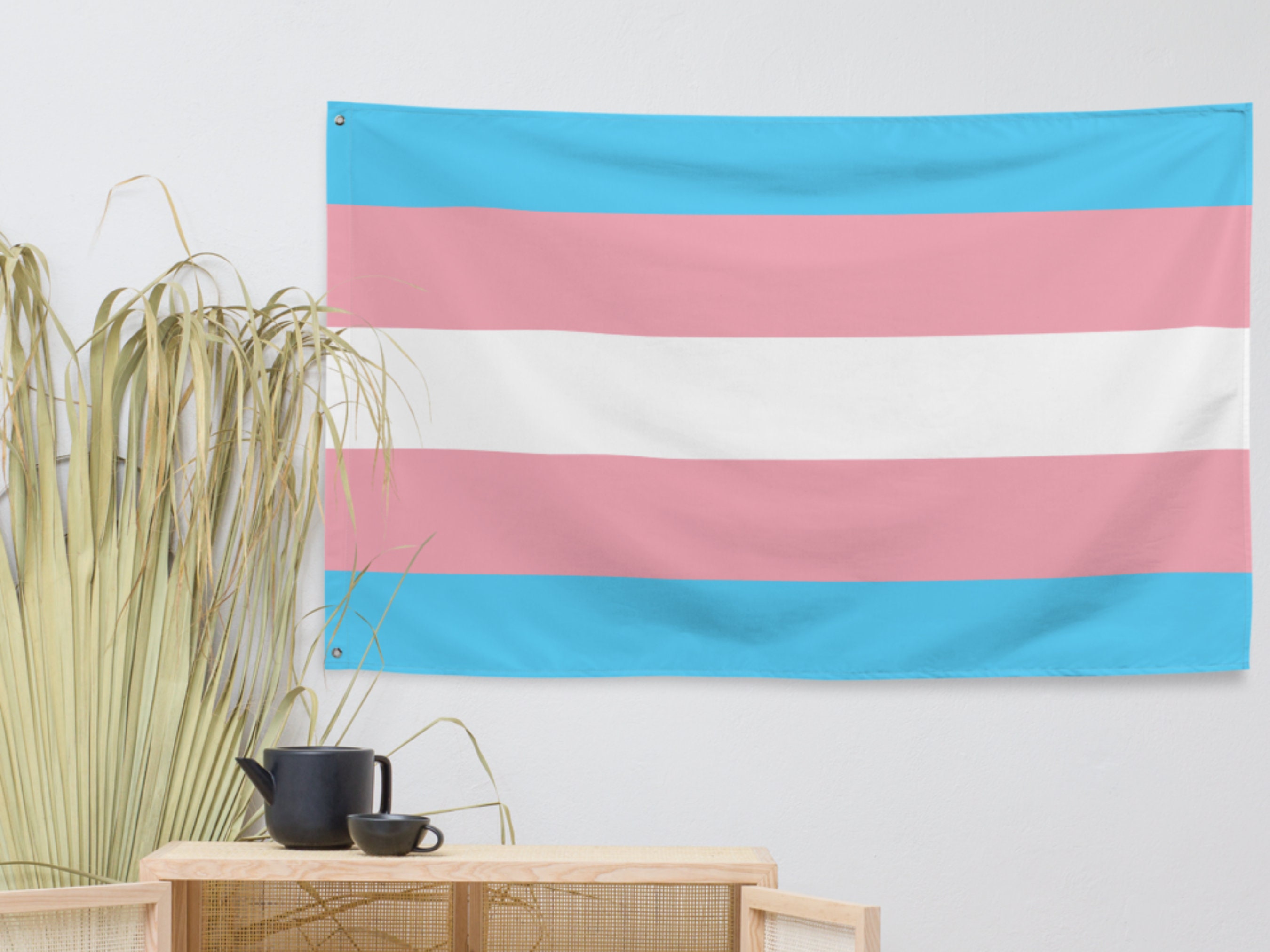 Trans Flag Transgender Flag Pride Flag Trans Pride Flag Pride Pride ...