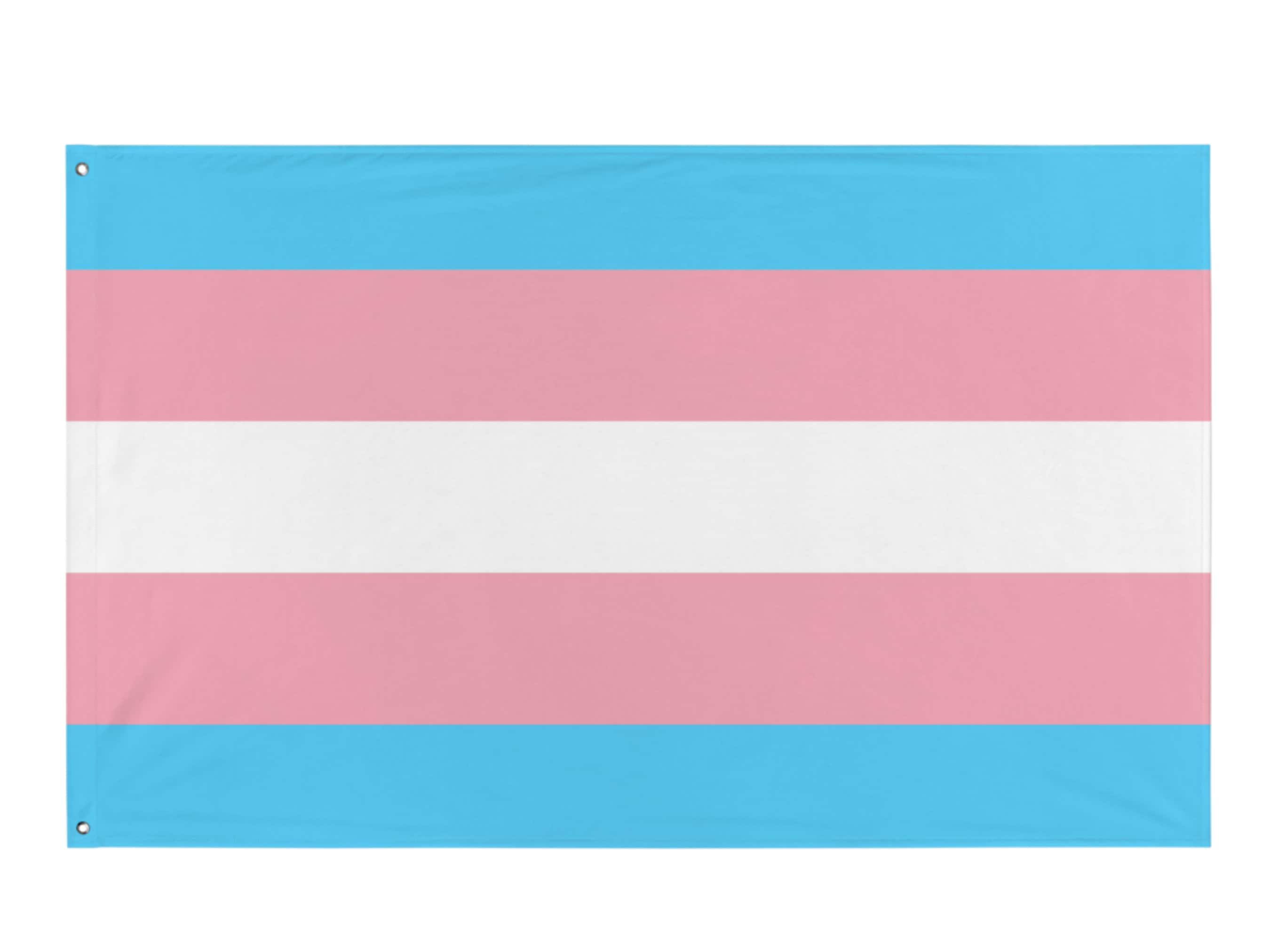 Trans Flag Transgender Flag Pride Flag Trans Pride Flag Pride Pride ...