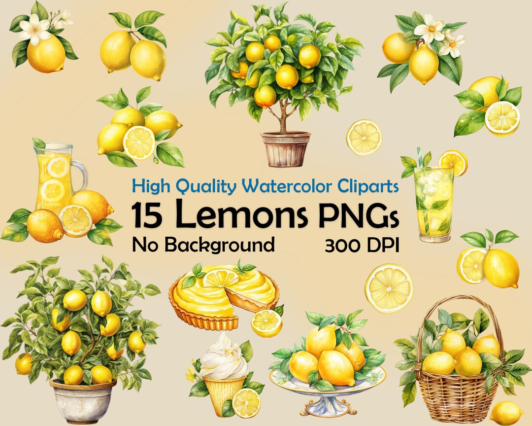 Watercolor Lemon Clipart Lemonade PNG Citrus Fruits Illustration ...
