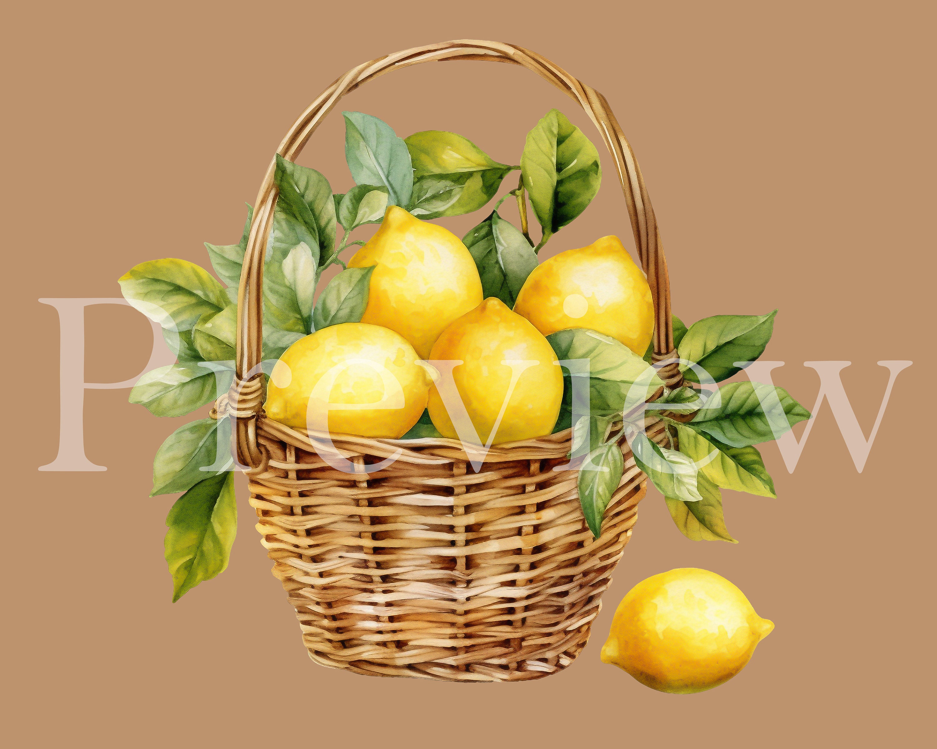Watercolor Lemon Clipart Lemonade PNG Citrus Fruits Illustration ...