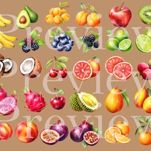 Watercolor Fruits Clipart Exotic Summer Fresh Fruits PNG Lemon ...
