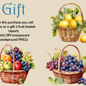 Watercolor Fruits Clipart Exotic Summer Fresh Fruits PNG Lemon ...