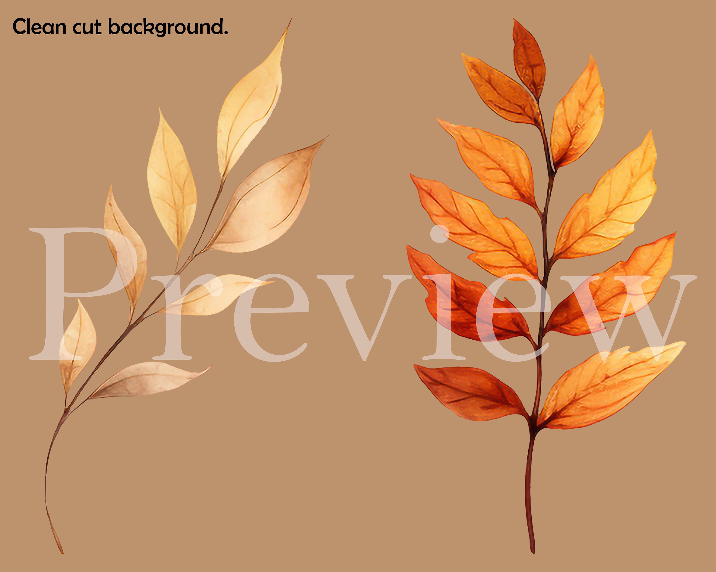 Autumn Leaves Clipart Watercolor Leaf PNG Digital Art Fall Foliage ...