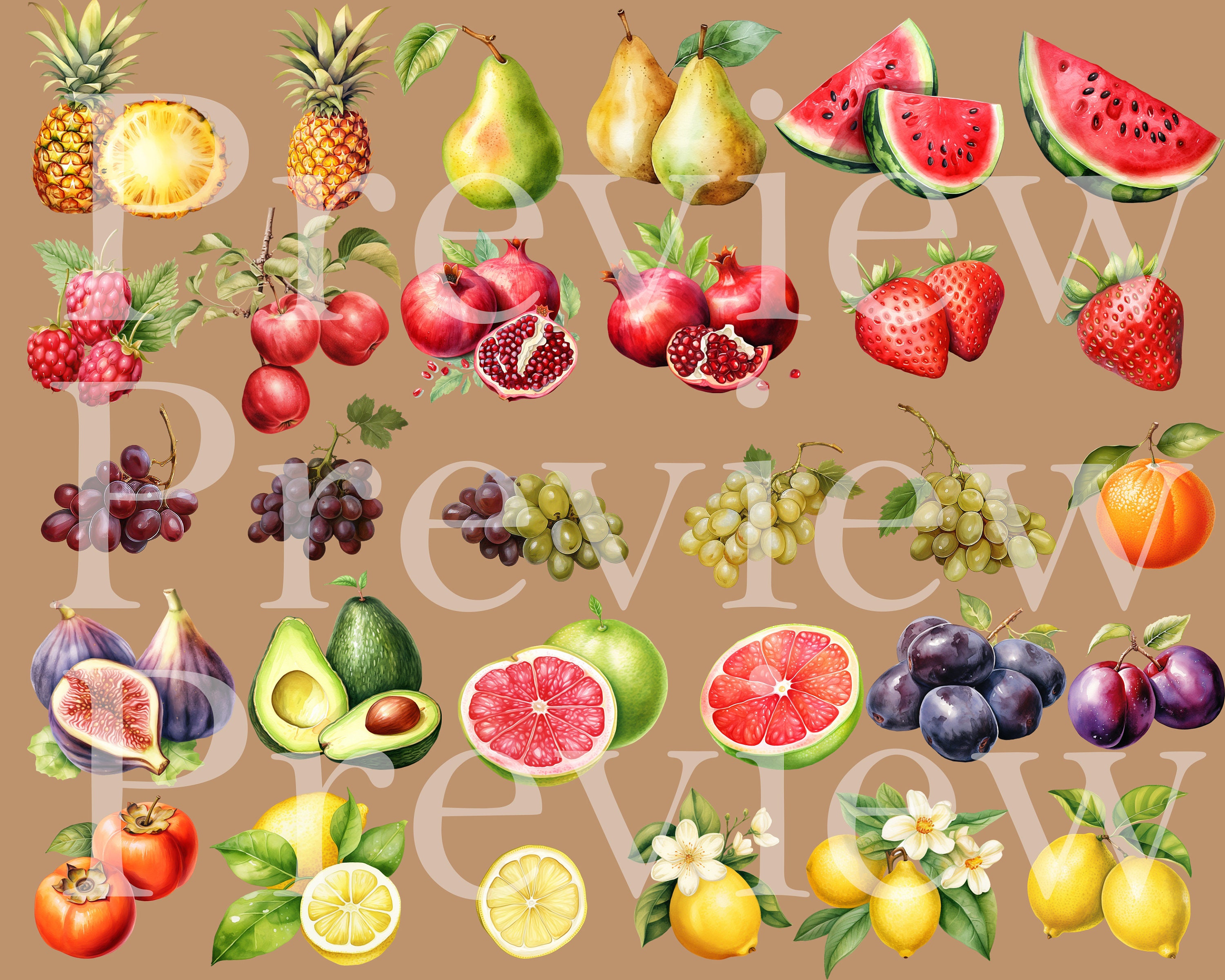 Watercolor Fruits Clipart Exotic Summer Fresh Fruits PNG Lemon ...