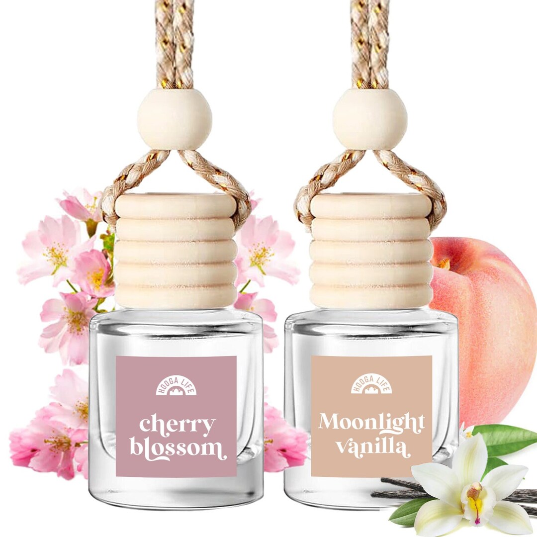 Car Air Refreshner Car Fragrance Diffuser Cute Car Diffuser Hanging or ...