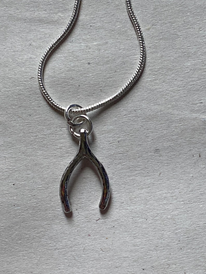 Conan Gray Inspired Wishbone Necklace - Etsy