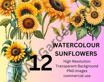 Watercolor Sunflowers Clipart Fall Sunflower Floral - Etsy