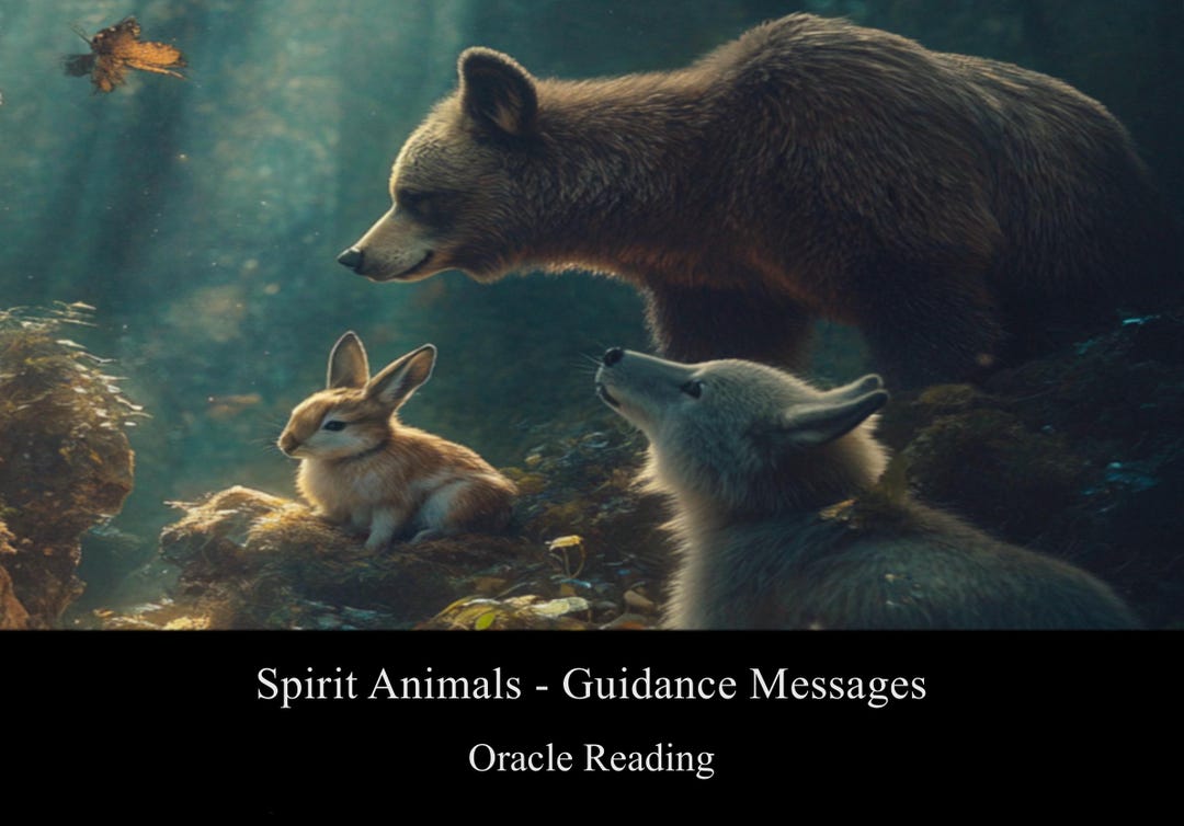 Oracle Cards Readings | Spirit Animals Edition | Tarot Card Psychic ...