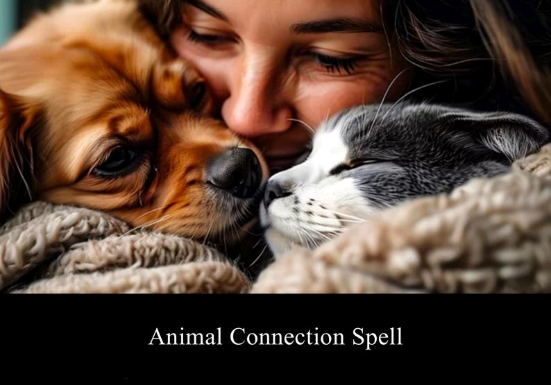 Animal Connection Spell Casting, Animals Communication Witchcraft ...