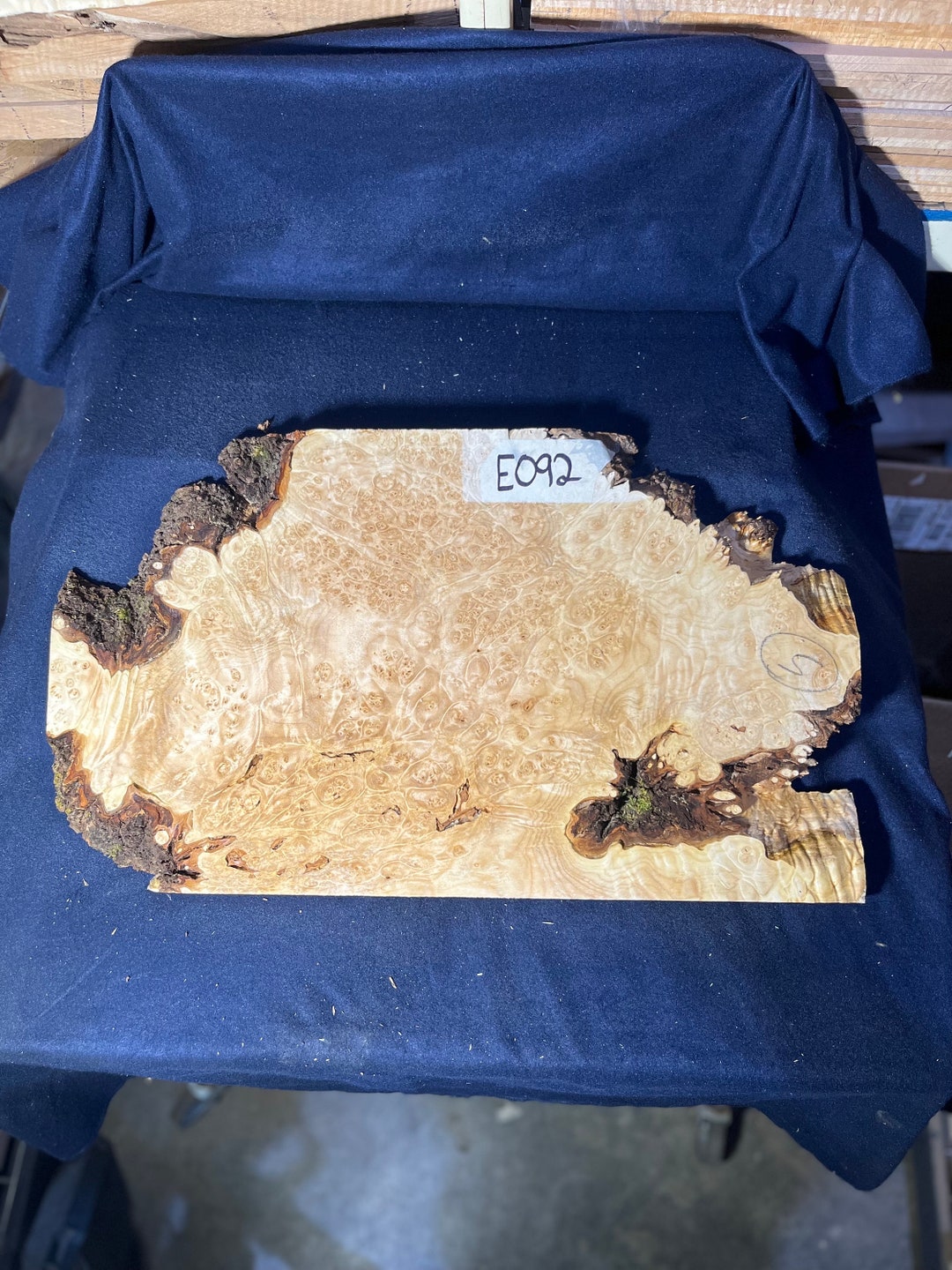 Burl Maple European Mount Plaque - Etsy