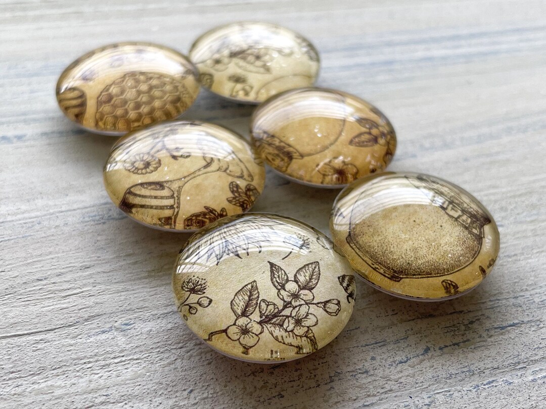 Honeycomb Bee Magnets // Set of 6 // Refrigerator Magnets // Glass ...