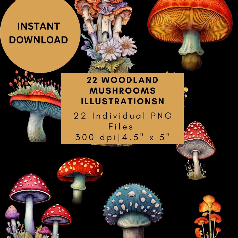 Watercolor Fairy Mushroom Forest Clipart and Florals Clip Art - Etsy
