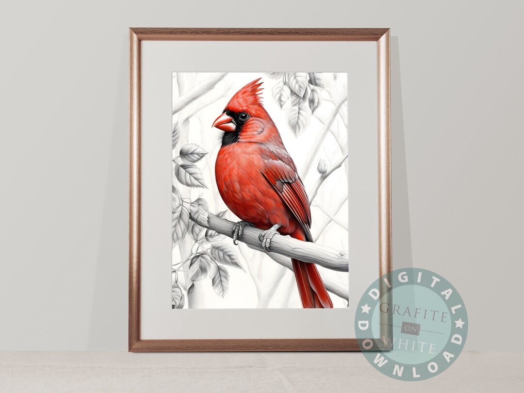 Red Cardinal Wall Art - Hyperrealistic Pencil Sketch. Digital Download ...