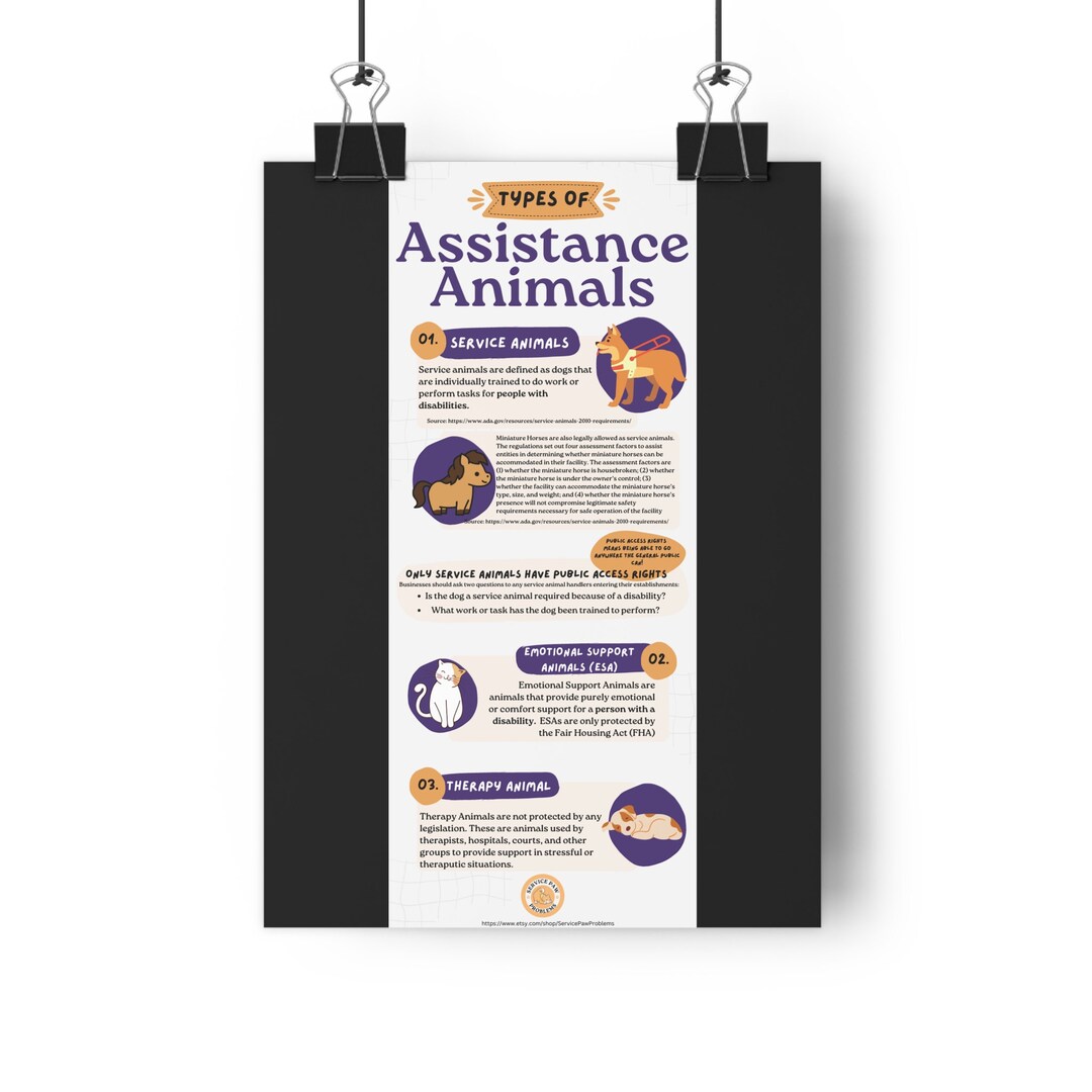 Types of Assistance Animals - Etsy