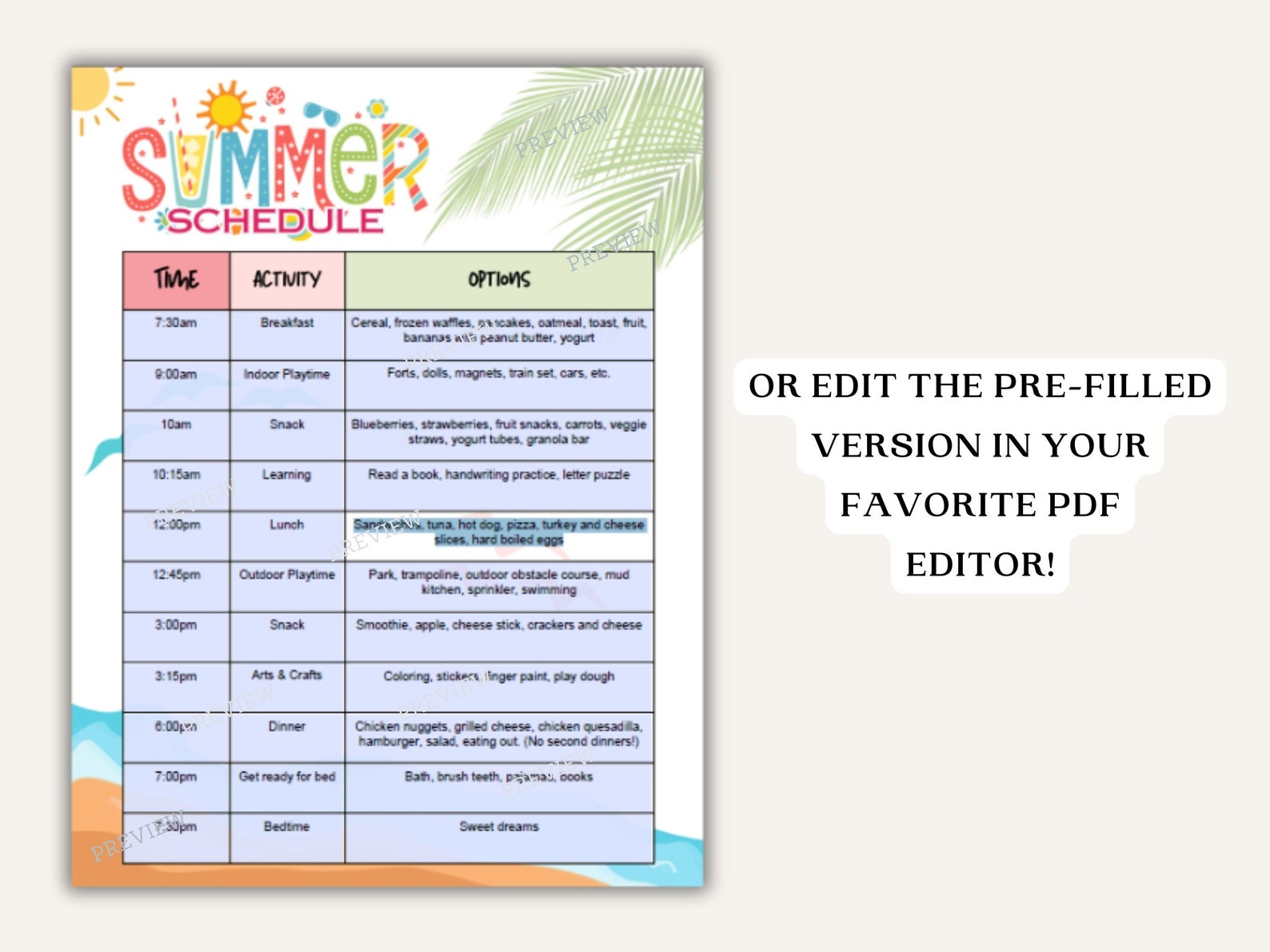 Summer Schedule Editable PDF, Summer Bucket List, Summer Checklist ...
