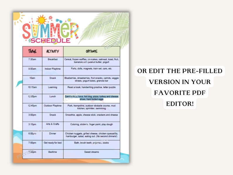 Summer Schedule Editable PDF, Summer Bucket List, Summer Checklist ...