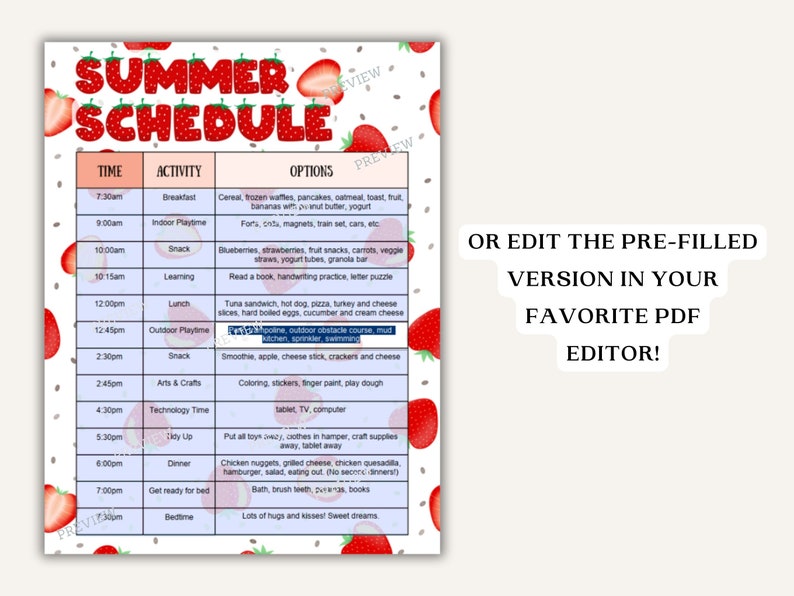 Summer Schedule Editable PDF, Summer Bucket List, Summer Checklist ...