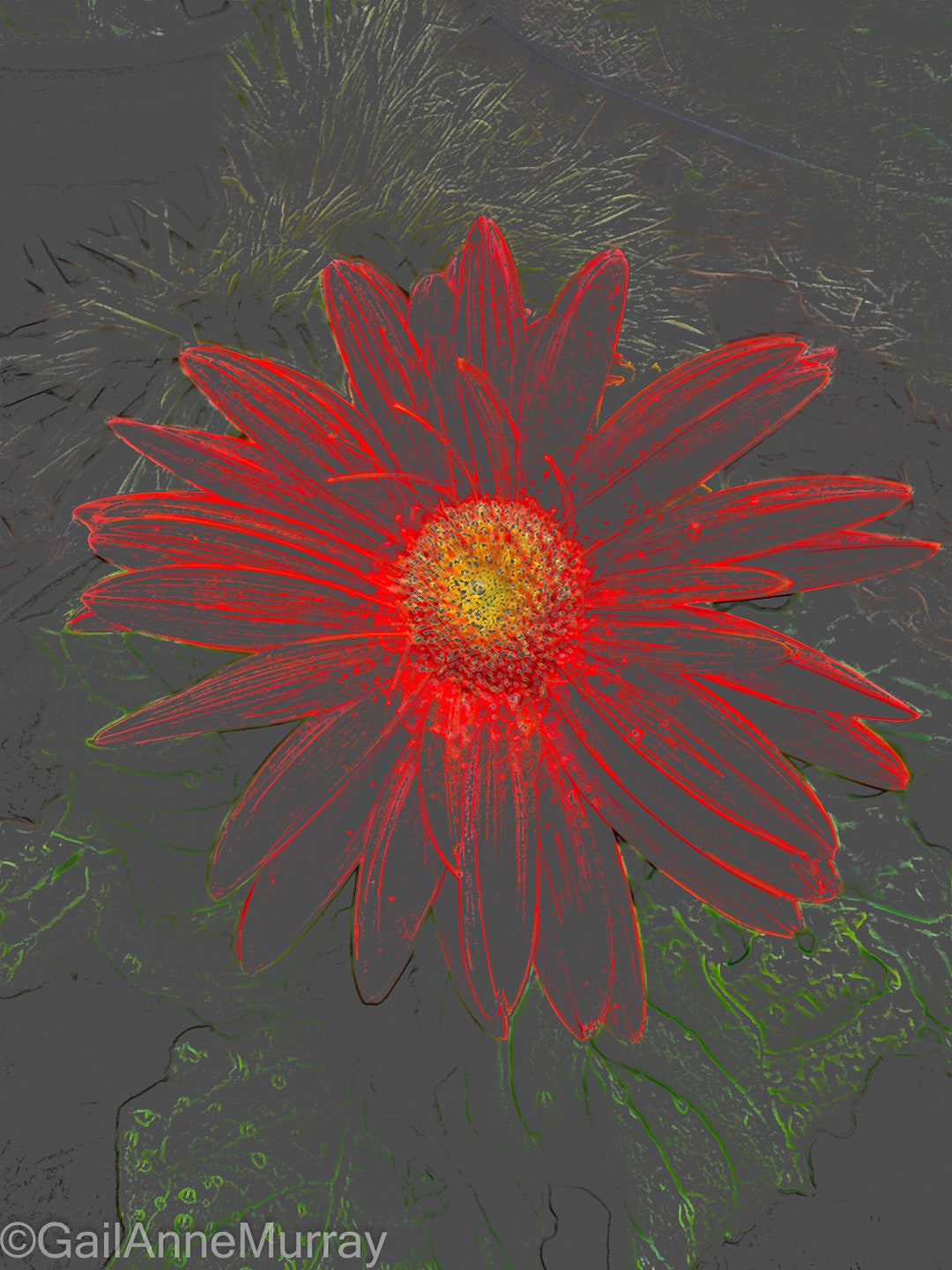 Gerber Drawing-photo Collage - Etsy