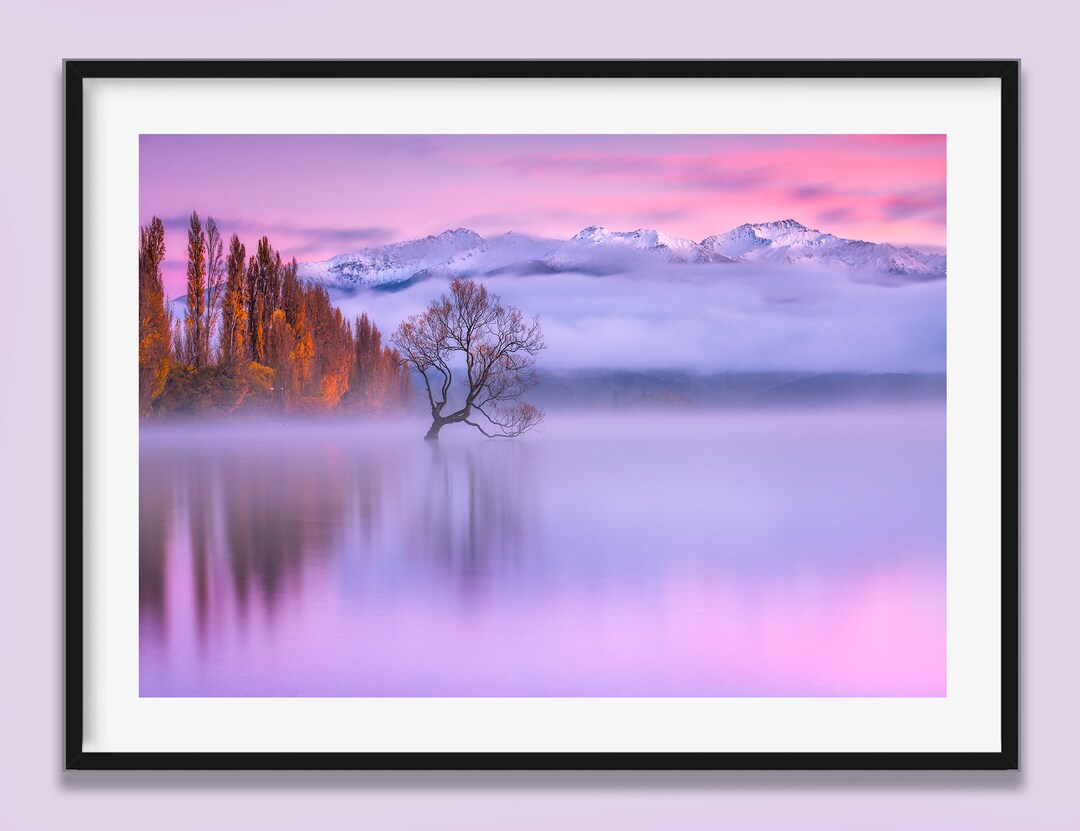 New Zealand Photo Print Wanaka Tree Autumn Sunrise Wanaka Tree New ...