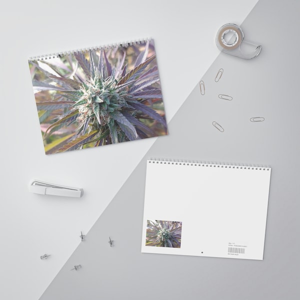 2024 Picture Calendar - Etsy