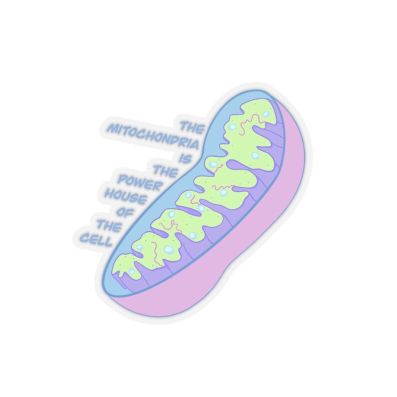 The Mitochondria is the Power House of the Cell, Science Sticker ...