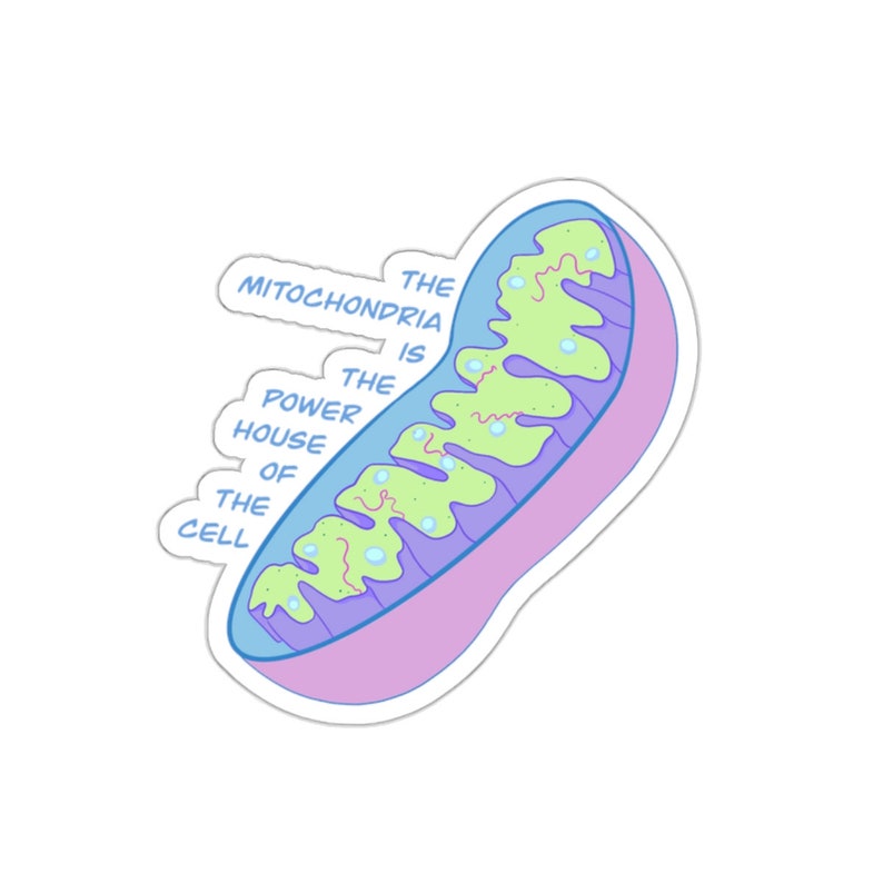The Mitochondria is the Power House of the Cell, Science Sticker ...