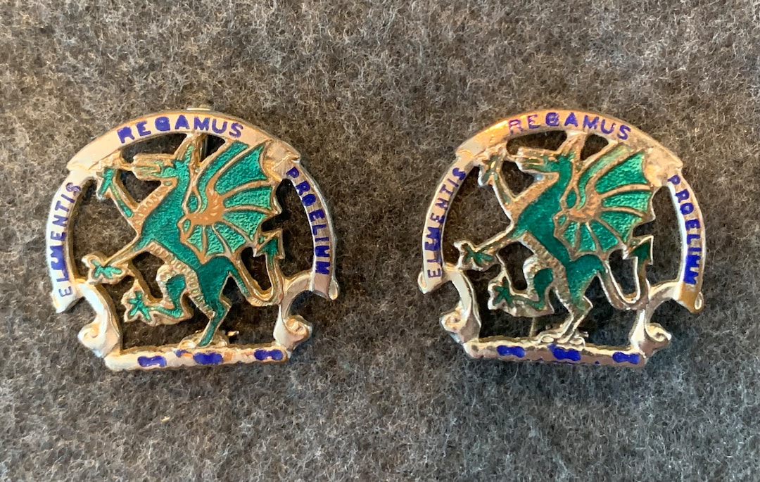 Vintage WW2 US Army Chemical School Insignia - Etsy