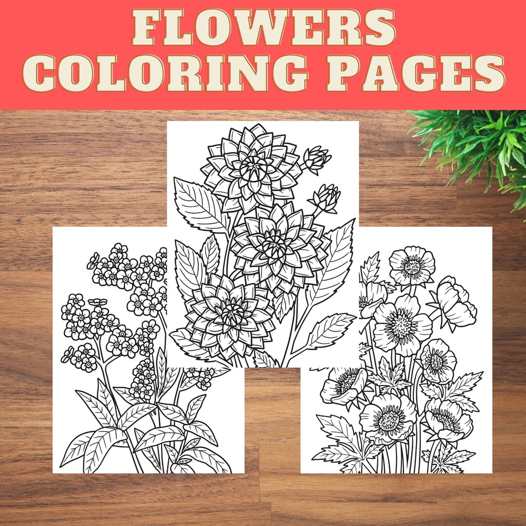 50 PAGES Flower Coloring Pages - Etsy