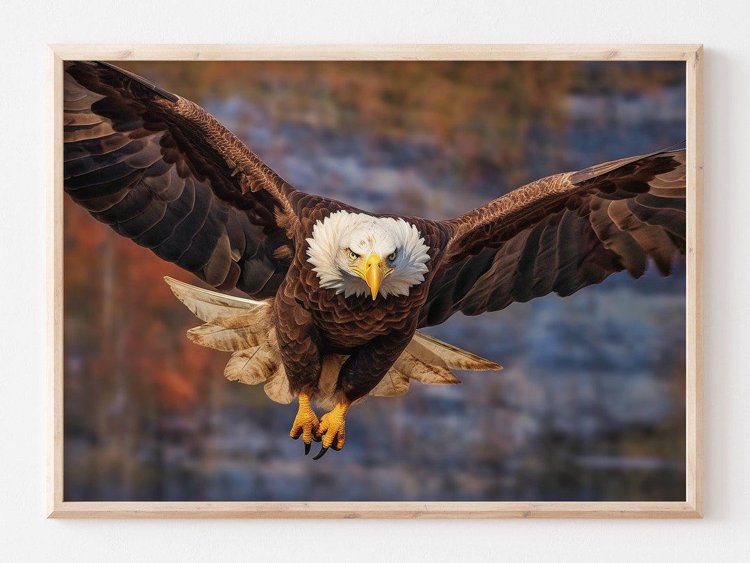 Printable Eagle Wall Art, Eagle Digital Download, Printable Art, Eagle ...