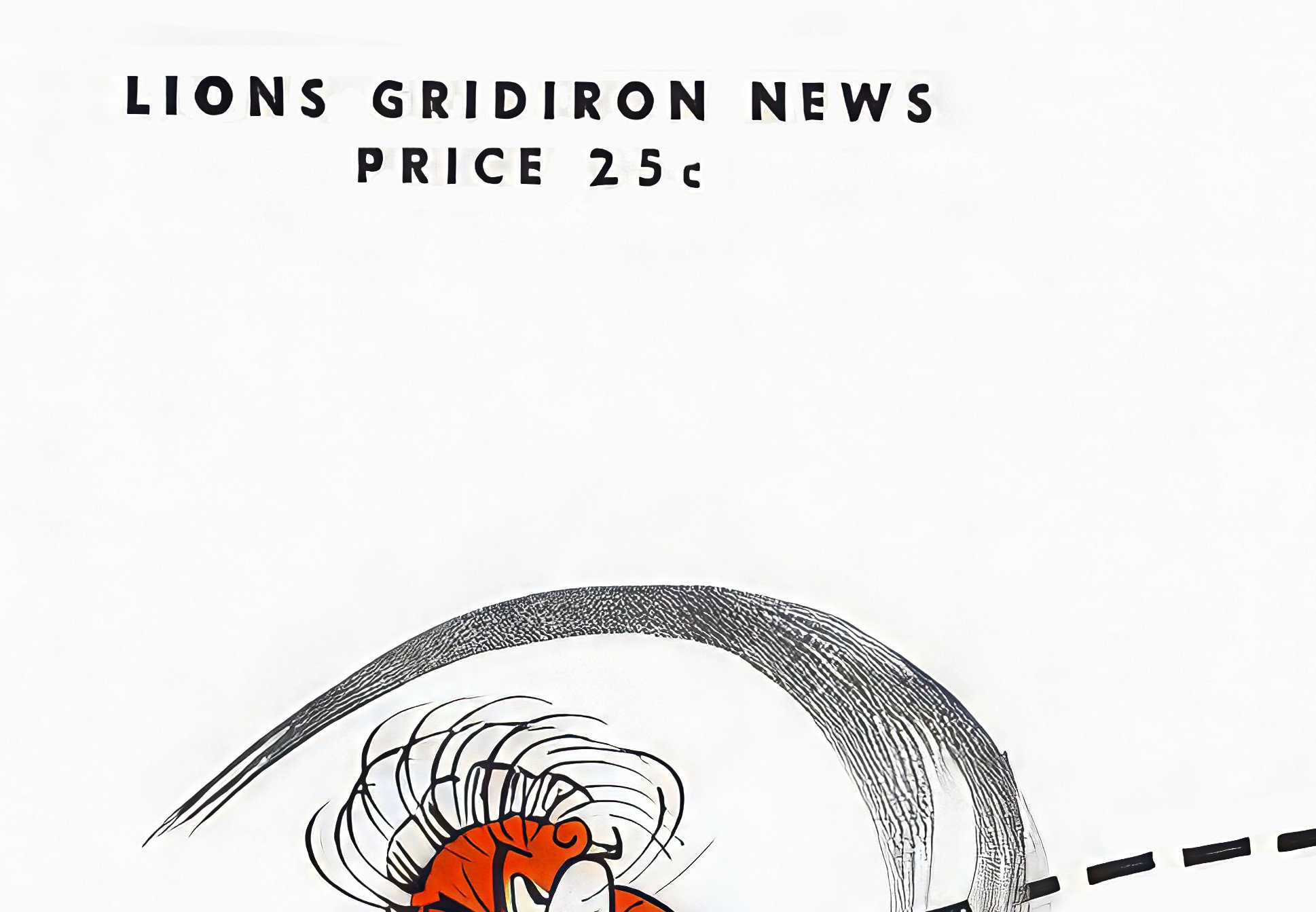 1955 DETROIT LIONS Print - Vintage Football Decor, Football Print ...