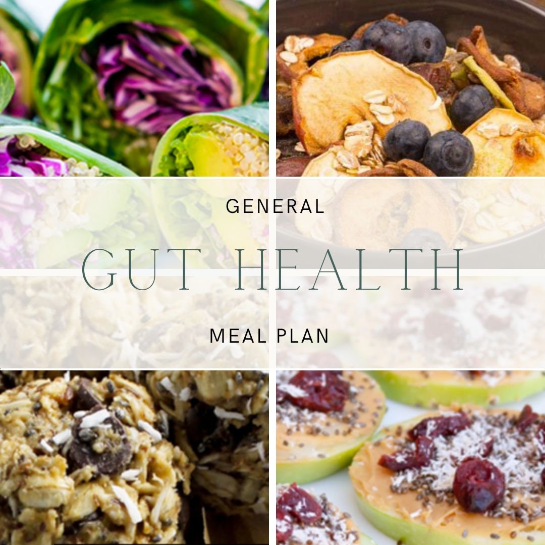 Two Week Gut Health Plan, Meal Prep, Digestive Reset, Clean Eating ...