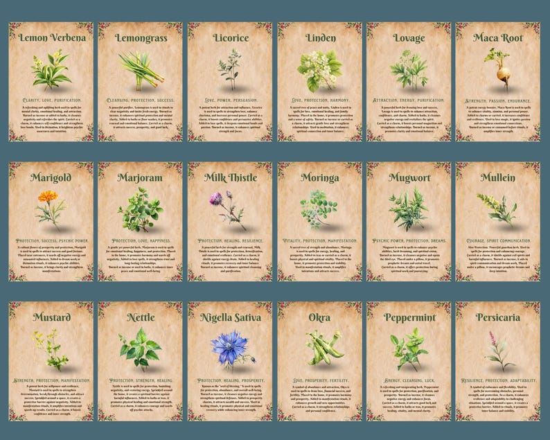 101 Witch's Herb Cards • Magical Properties and Uses for Spells ...