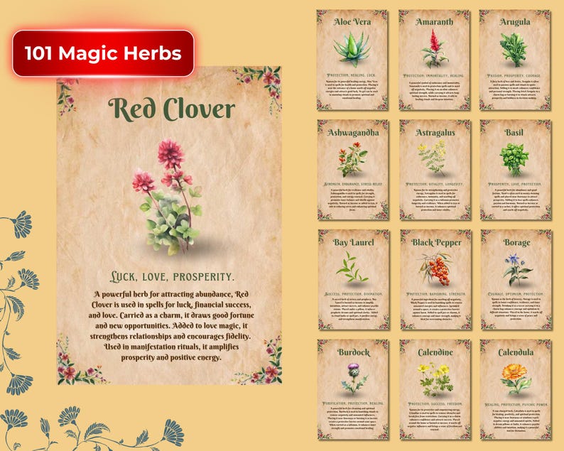 101 Witch's Herb Cards • Magical Properties and Uses for Spells ...