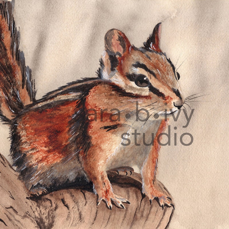Chipmunk Art - Etsy