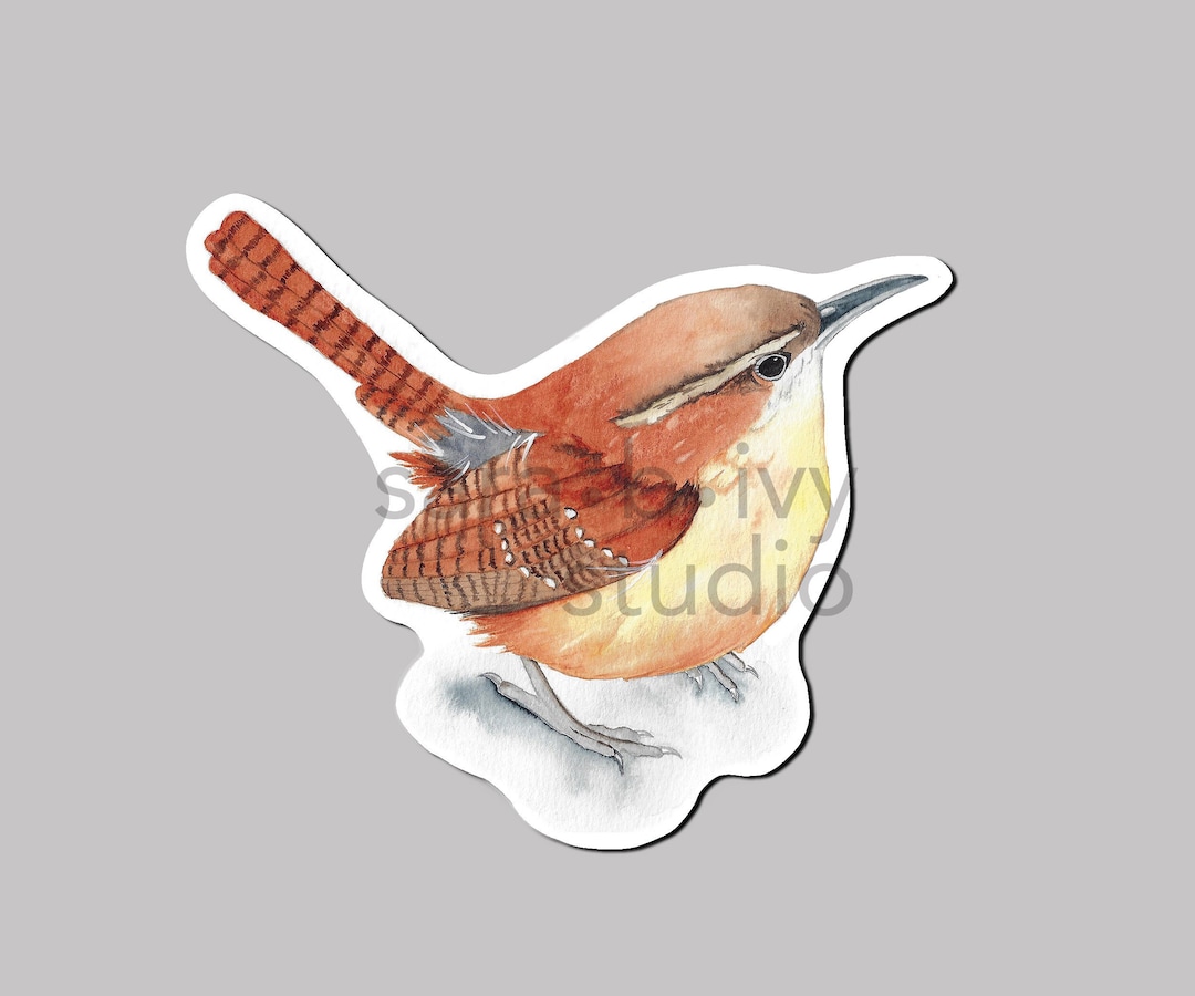 Carolina Wren Watercolor Sticker, Small Songbird Vinyl Decal, Laminated ...