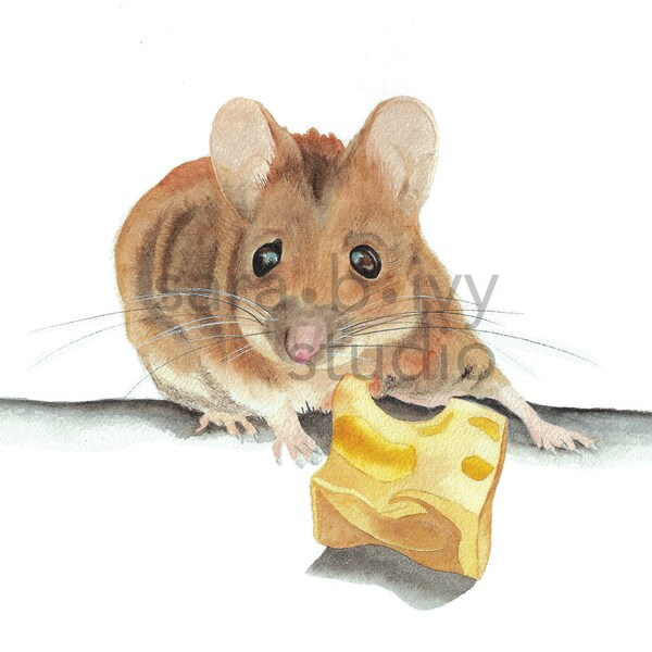 Mouse Watercolor - Etsy