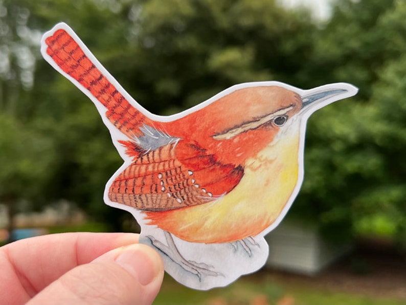Carolina Wren Watercolor Sticker, Small Songbird Vinyl Decal, Laminated ...