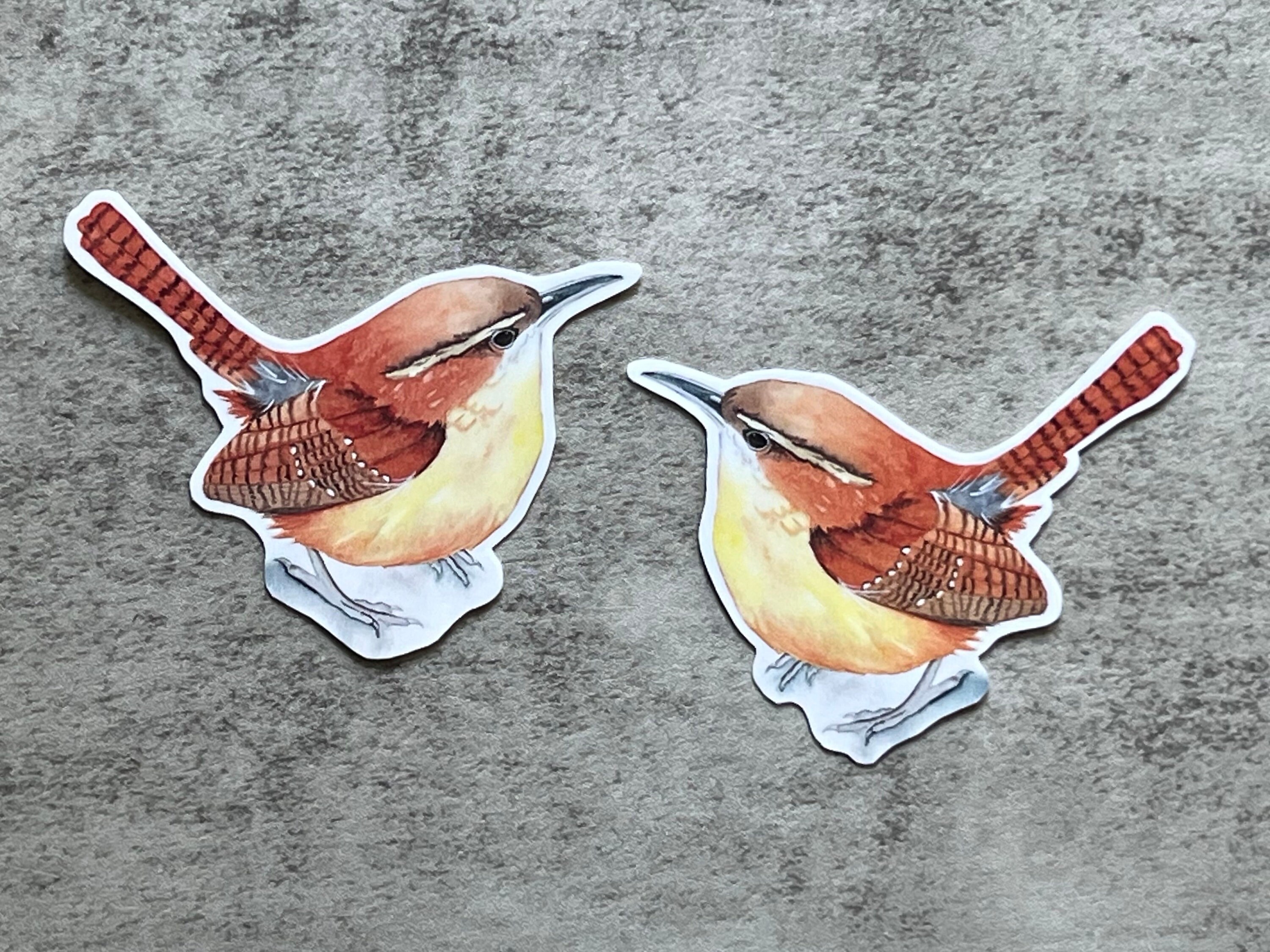 Carolina Wren Watercolor Sticker, Small Songbird Vinyl Decal, Laminated ...
