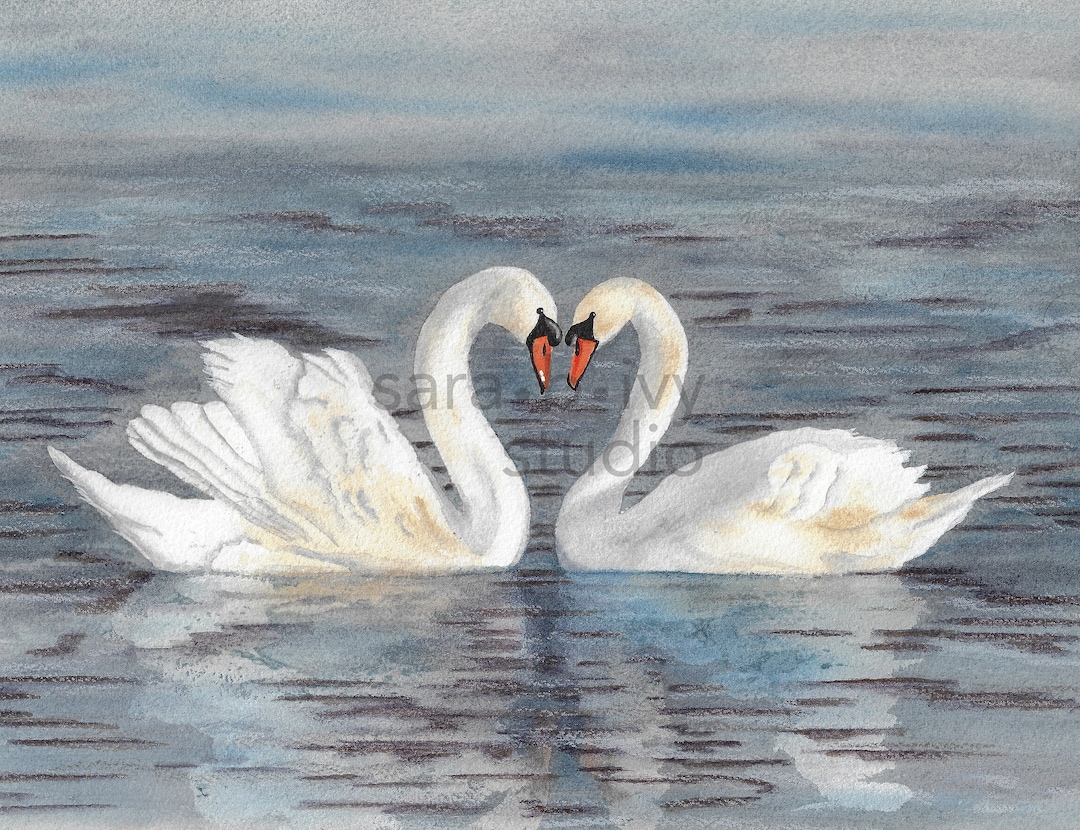 Two Swans Original Watercolor Painting, 12x9 Realistic Artwork of ...